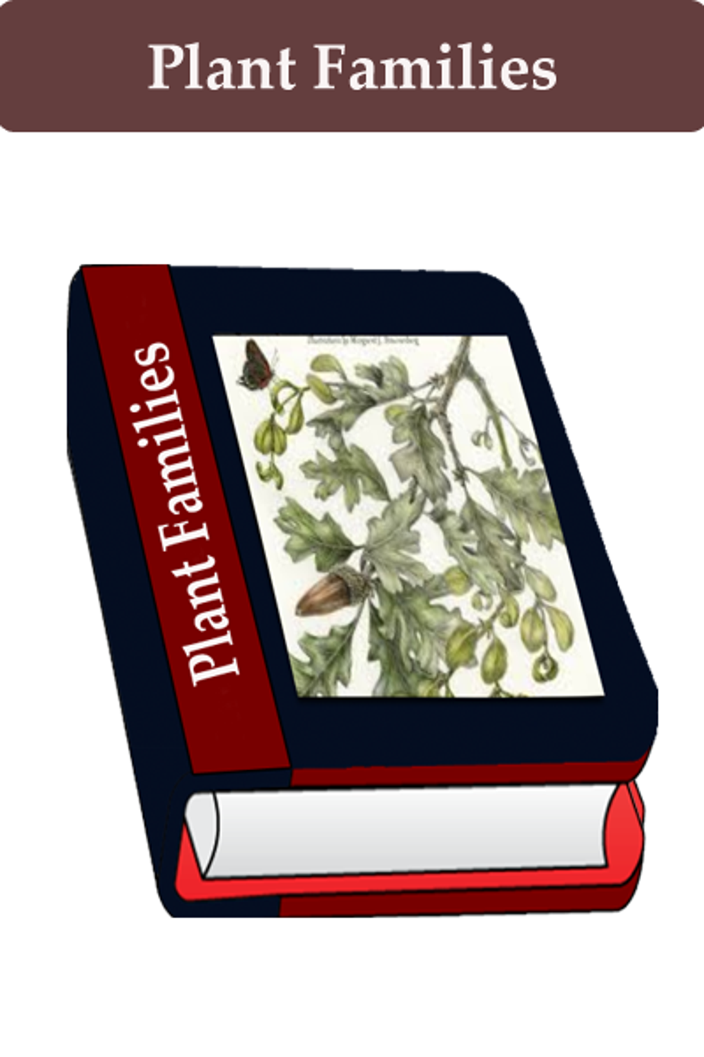 Plant families APK para Android - Descargar