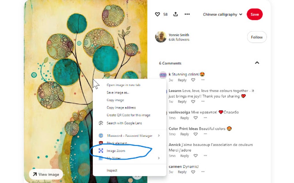Image Zoom Google Chrome 용 - 확장 프로그램 다운로드
