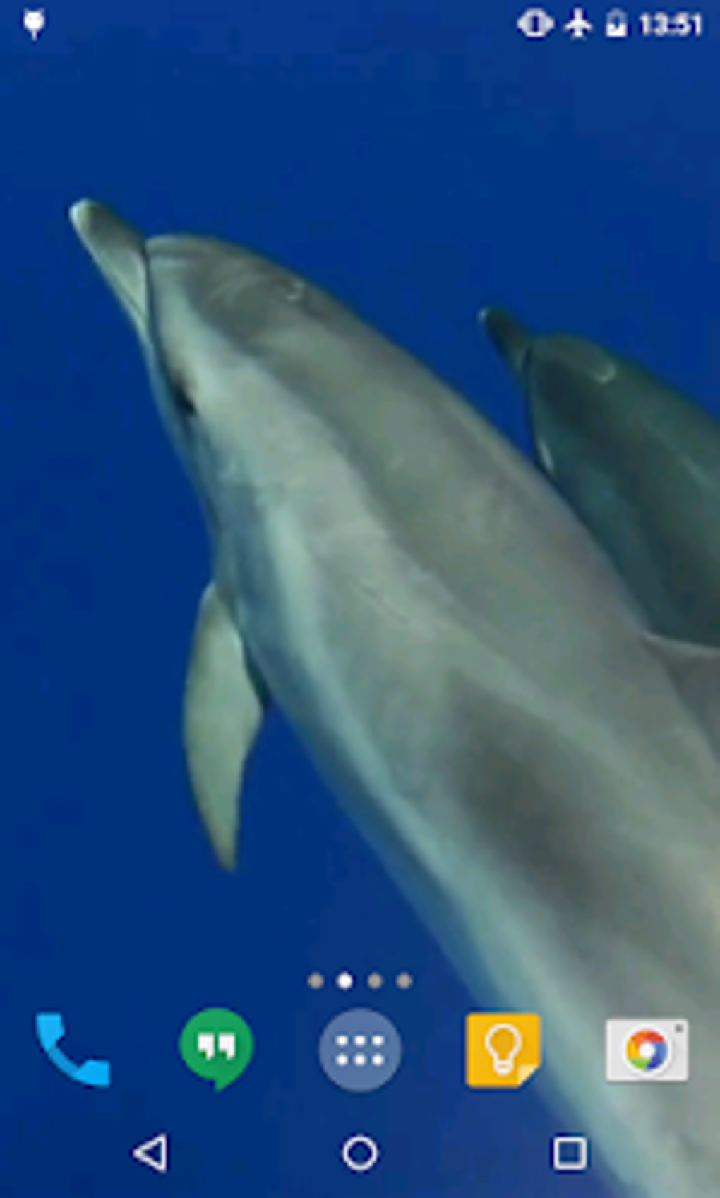 Dolphins Live Wallpaper para Android - Descargar