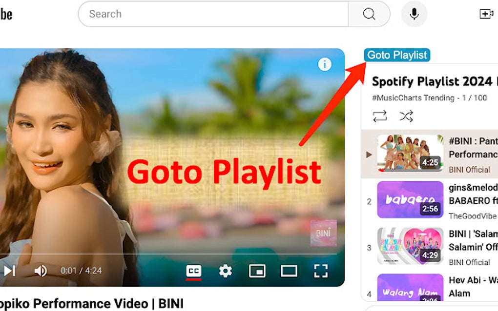 Youtube Playlist Exporter Pro Google Chrome 용 - 확장 프로그램 다운로드