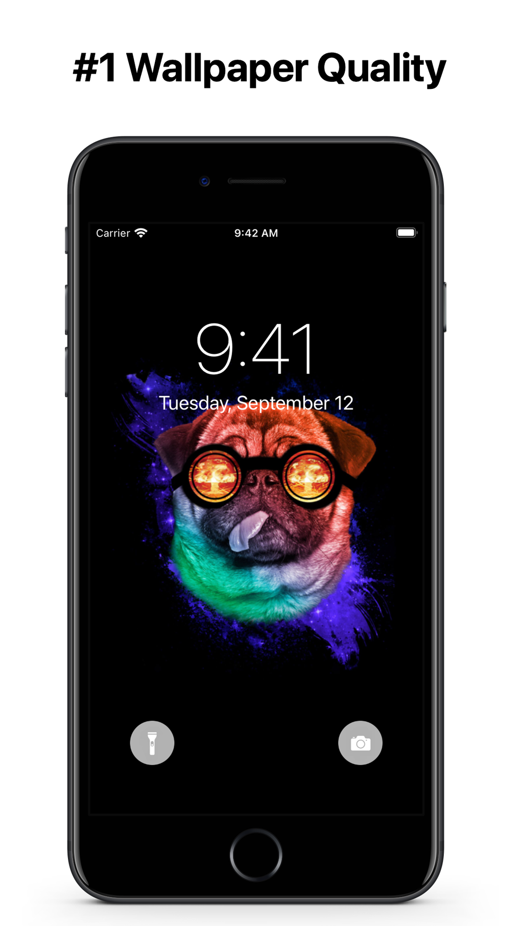 Dogs Wallpapers 4K HQ Notch para iPhone - Descargar