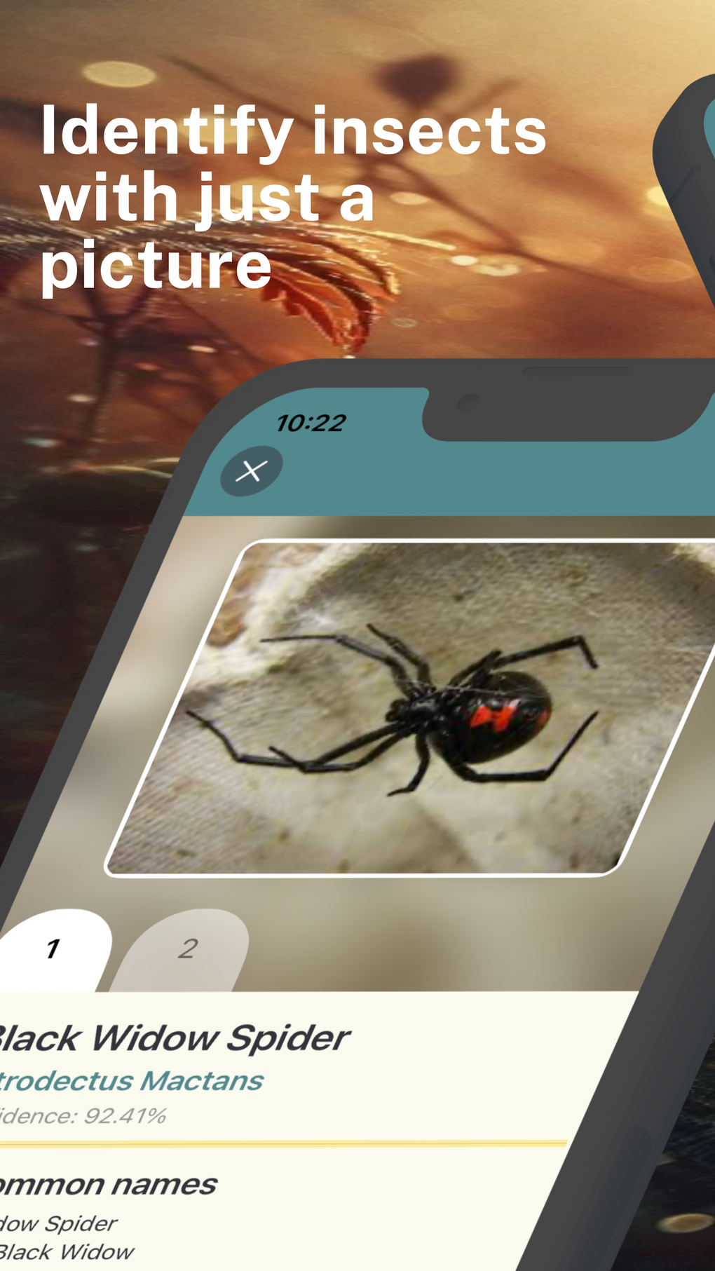 Insect Bug Spider Identifier for iPhone - Download