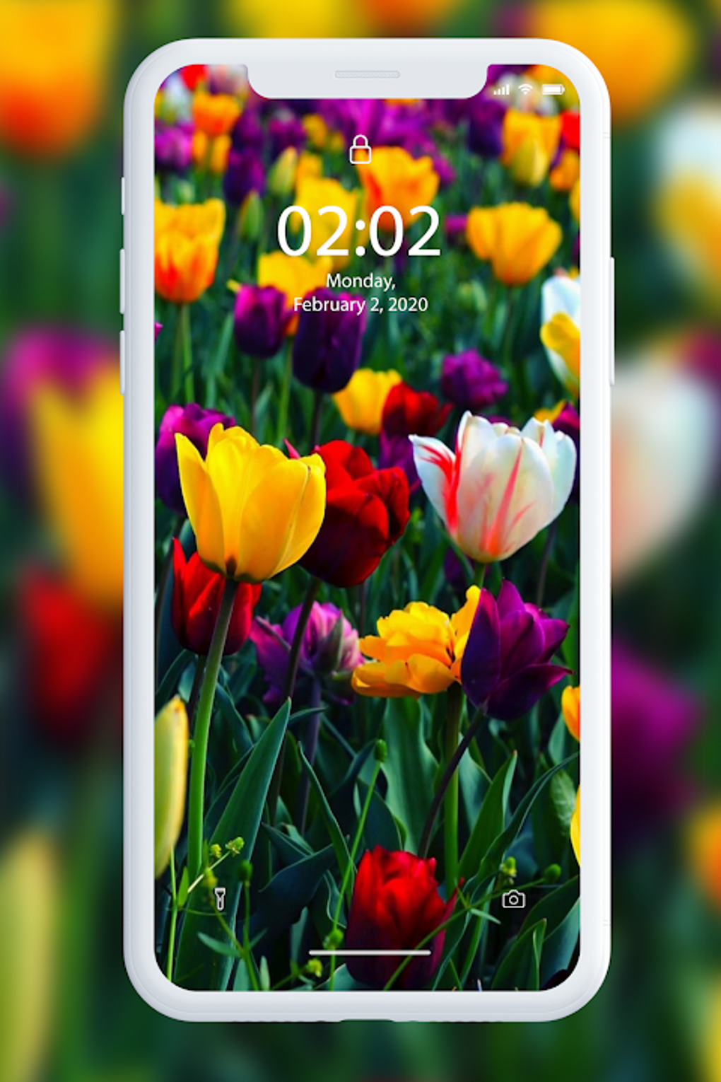 Spring Wallpaper APK for Android - Download