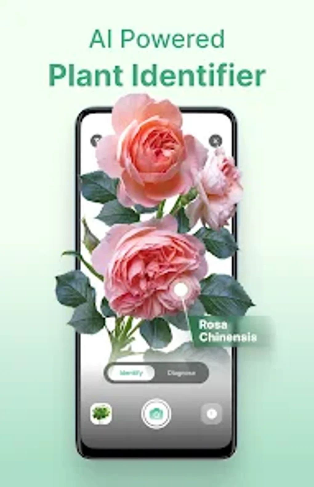 Plant Identifier - AI Diagnose para Android - Descargar