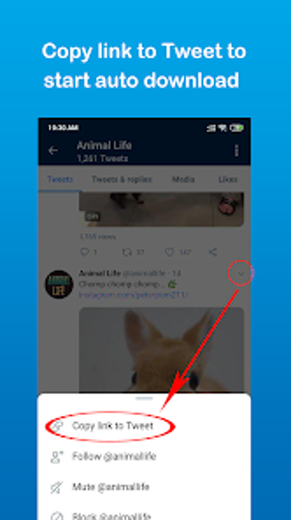 Video Downloader for Twitter for Android - Download