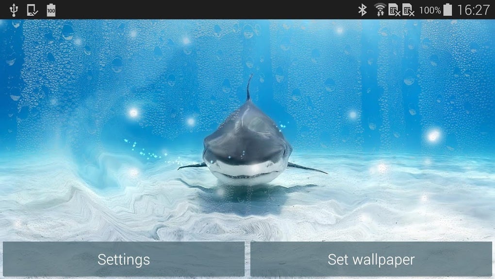 Android 용 Shark Live Wallpaper APK - 다운로드