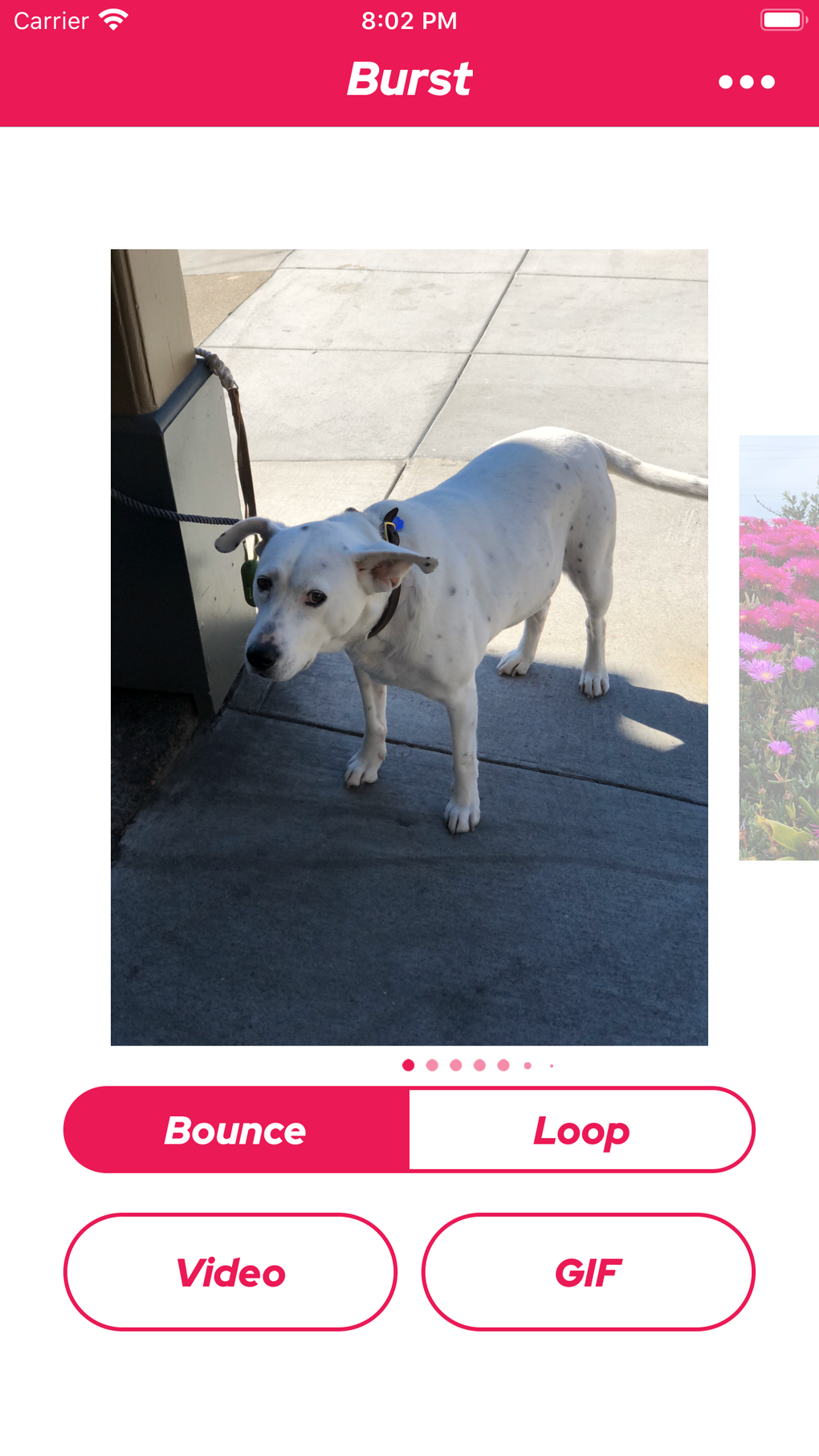 The Burst App for iPhone - Download