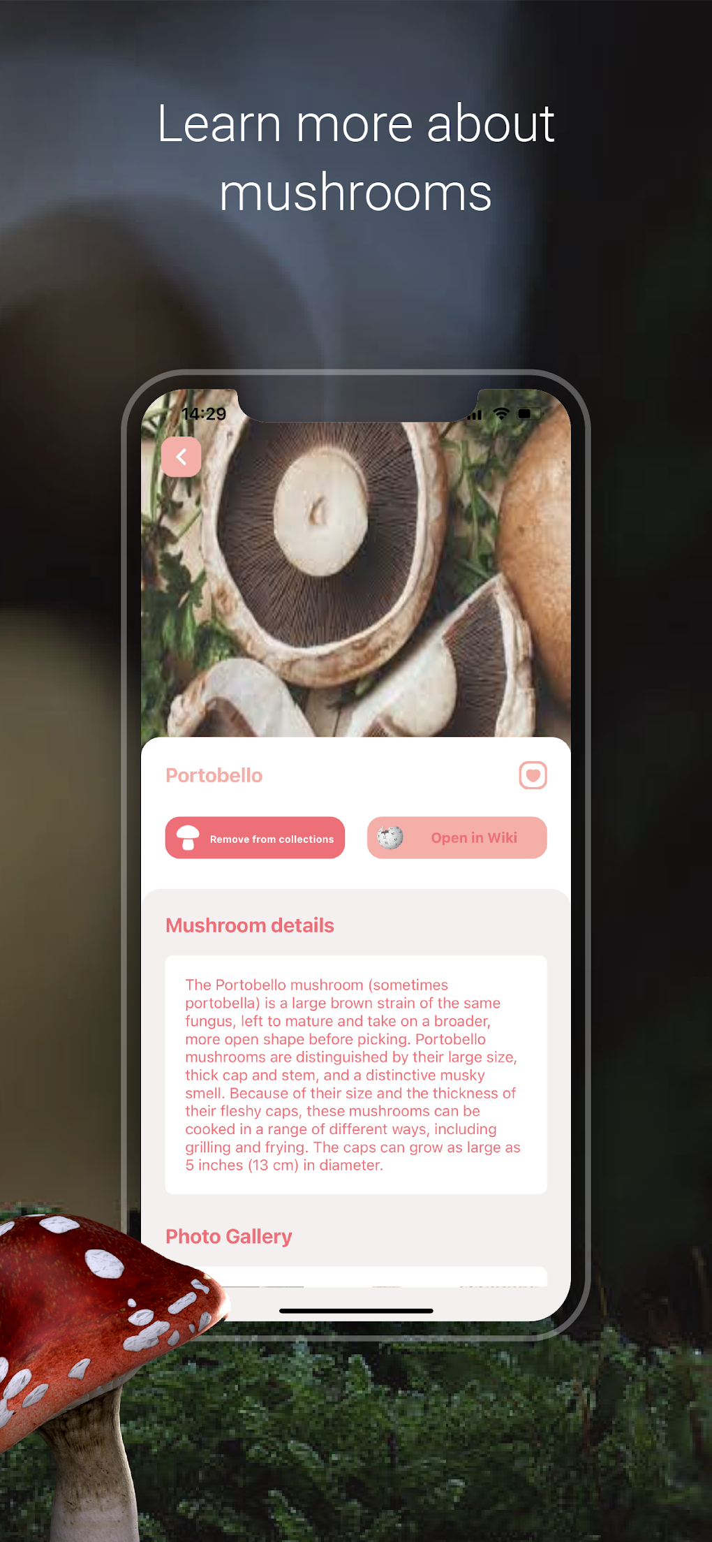 Mushroom Identifier - Picture Mushroom per Android - Download