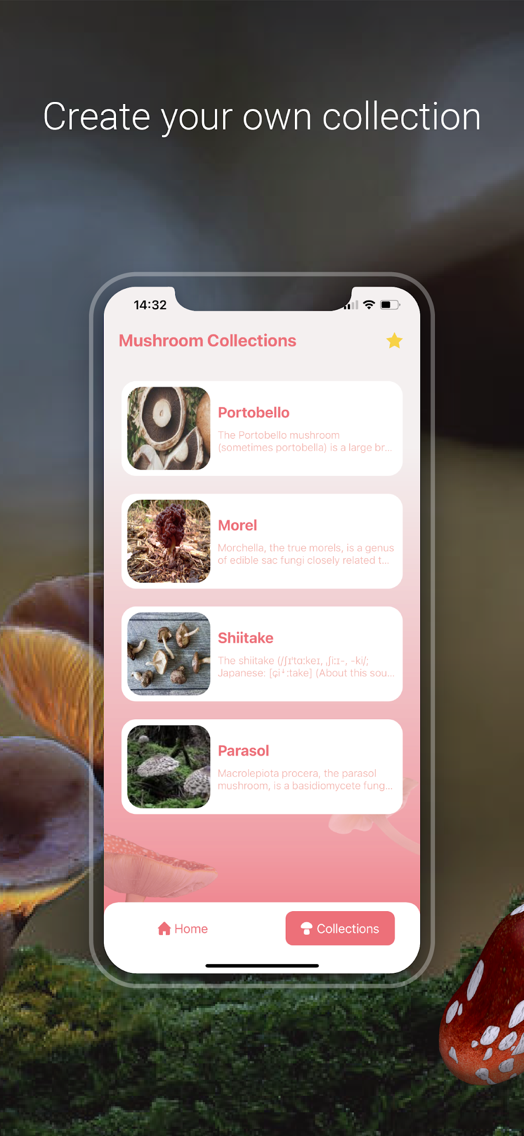 Mushroom Identifier - Picture Mushroom для Android — Скачать