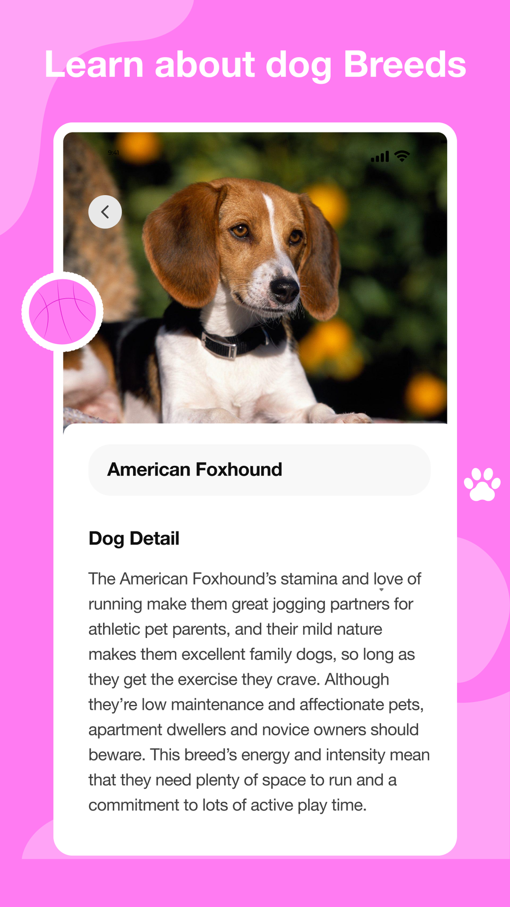Dog scanner - Dog Breed ID for iPhone - Download