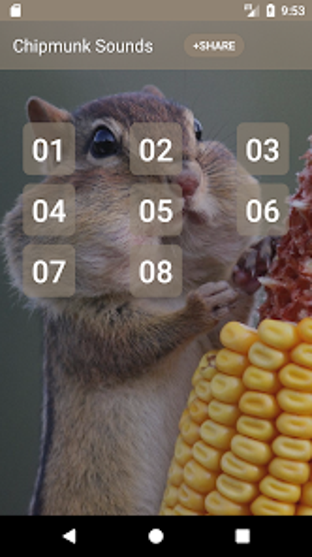 Chipmunk Sounds for Android - Download