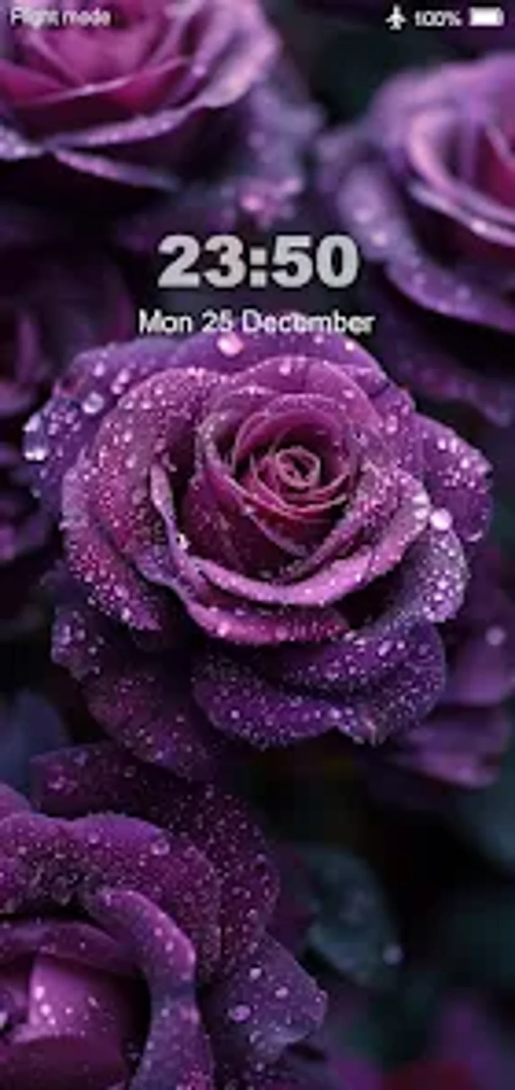 Flower Wallpaper 4K cho Android - Tải về