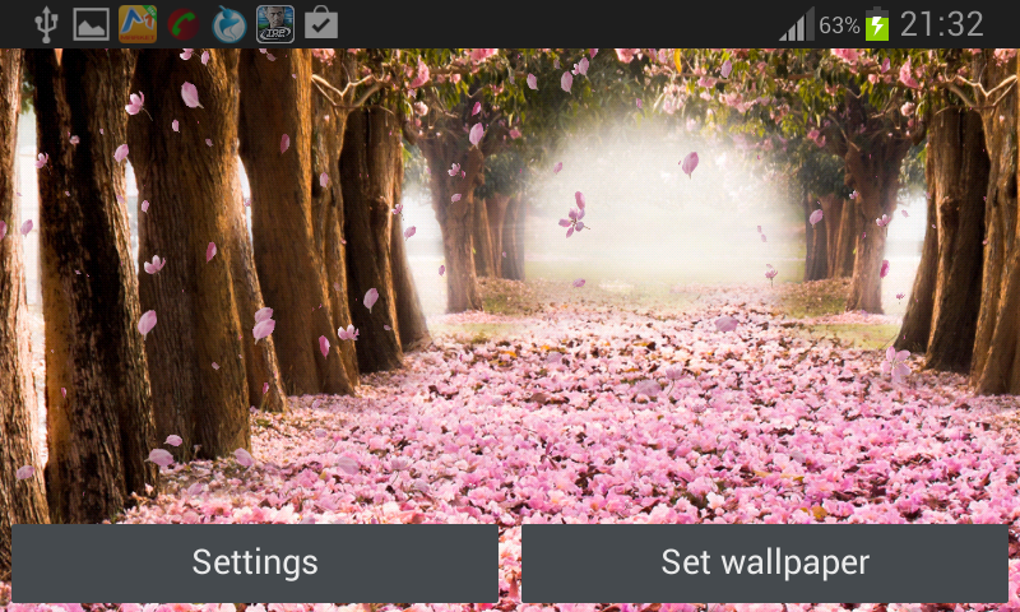 Cherry Blossom Live Wallpaper APK for Android - Download