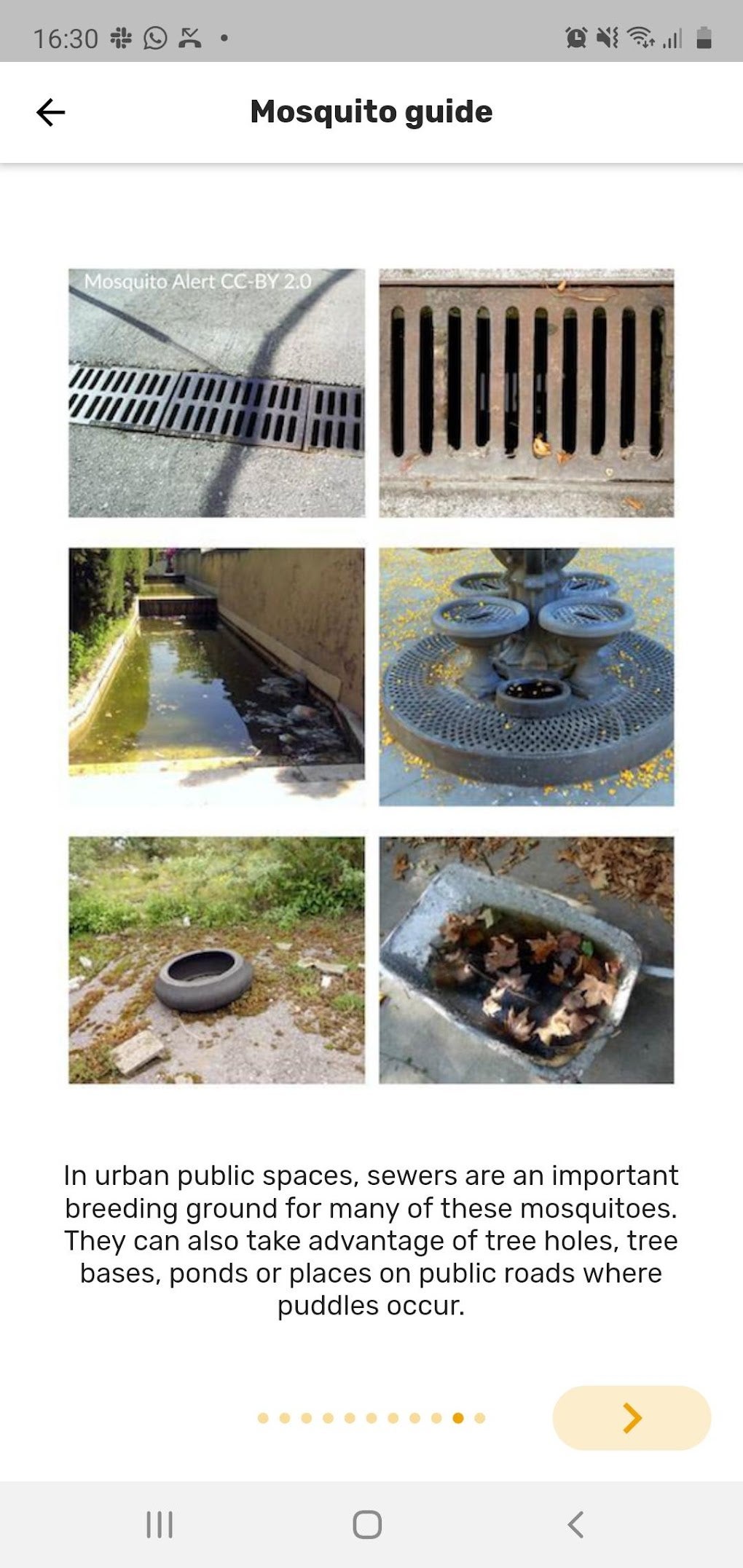 Mosquito Alert for Android - Download