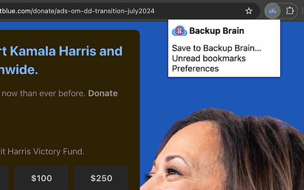 Backup Brain สำหรับ Google Chrome - ส่วนขยาย ดาวน์โหลด