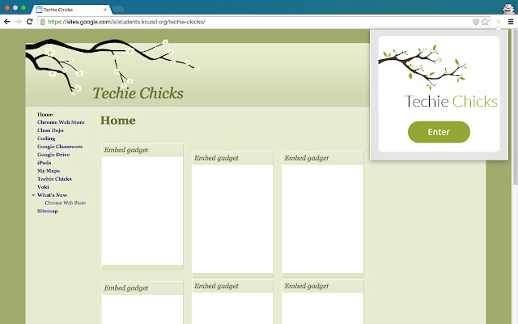 Techie Chicks for Google Chrome - Extension Download