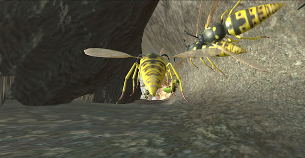 Wasp Nest Simulator Insect and 3d animal game APK for Android - Download