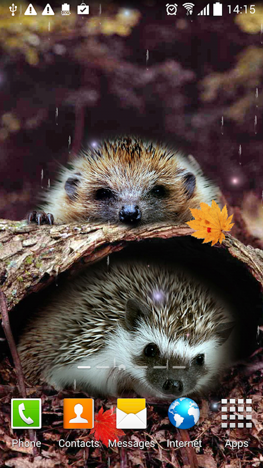 Autumn Live Wallpaper APK for Android - Download