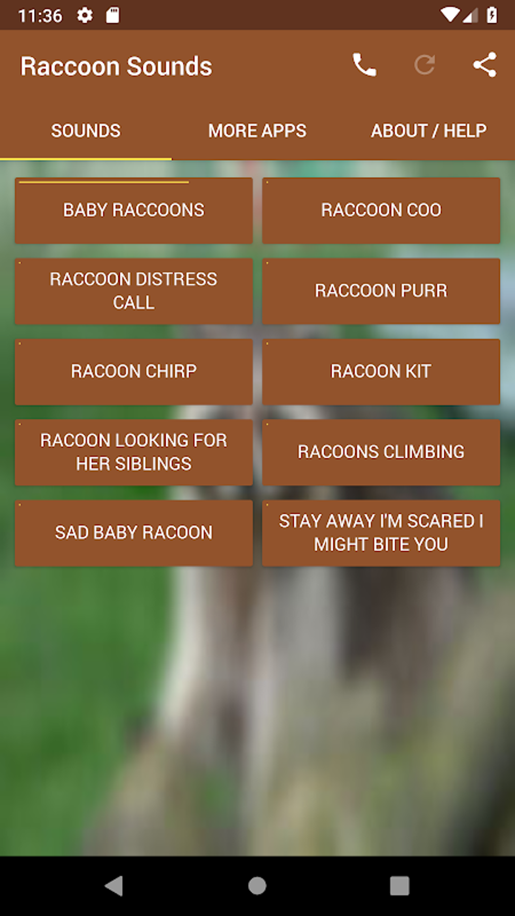 Raccoon Sounds APK para Android - Descargar