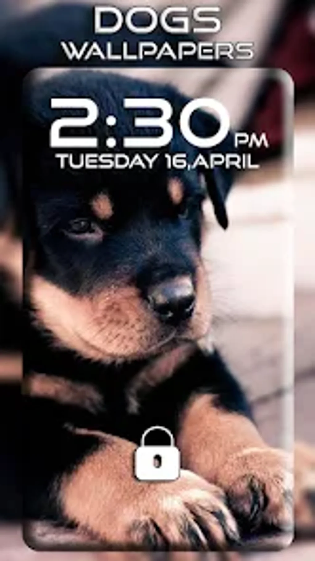 Dogs Wallpapers para Android - Descargar