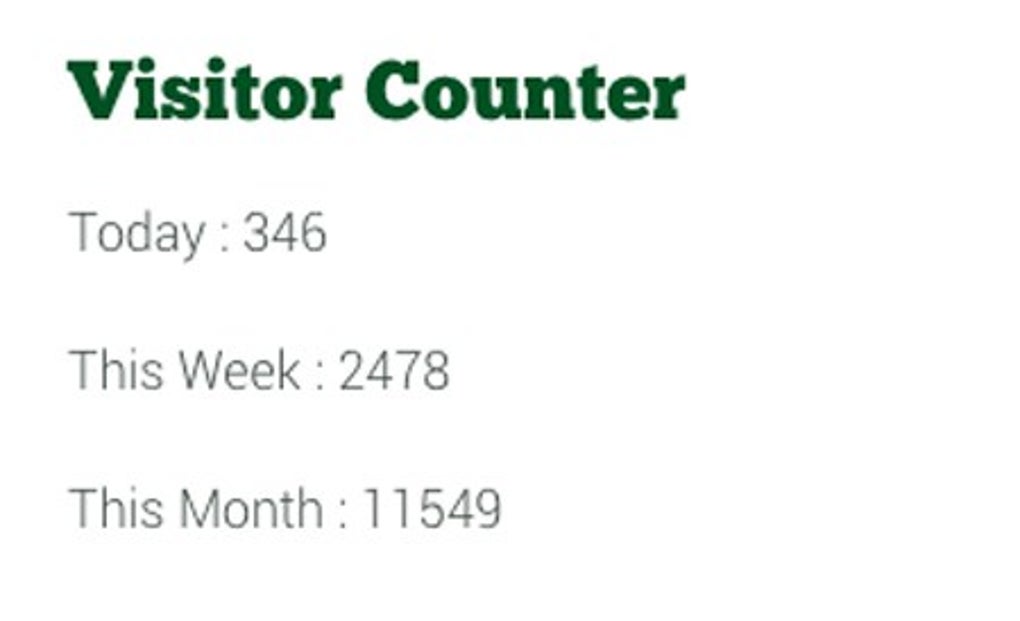 WordPress 용 Awesome Visitor Counter - 다운로드