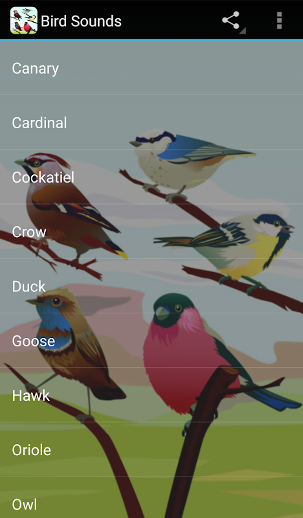 Android için Bird Sounds APK - İndir