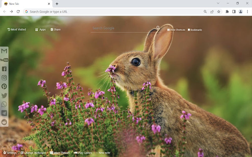 Bunny & Rabbit Wallpaper pour Google Chrome - Extension Télécharger