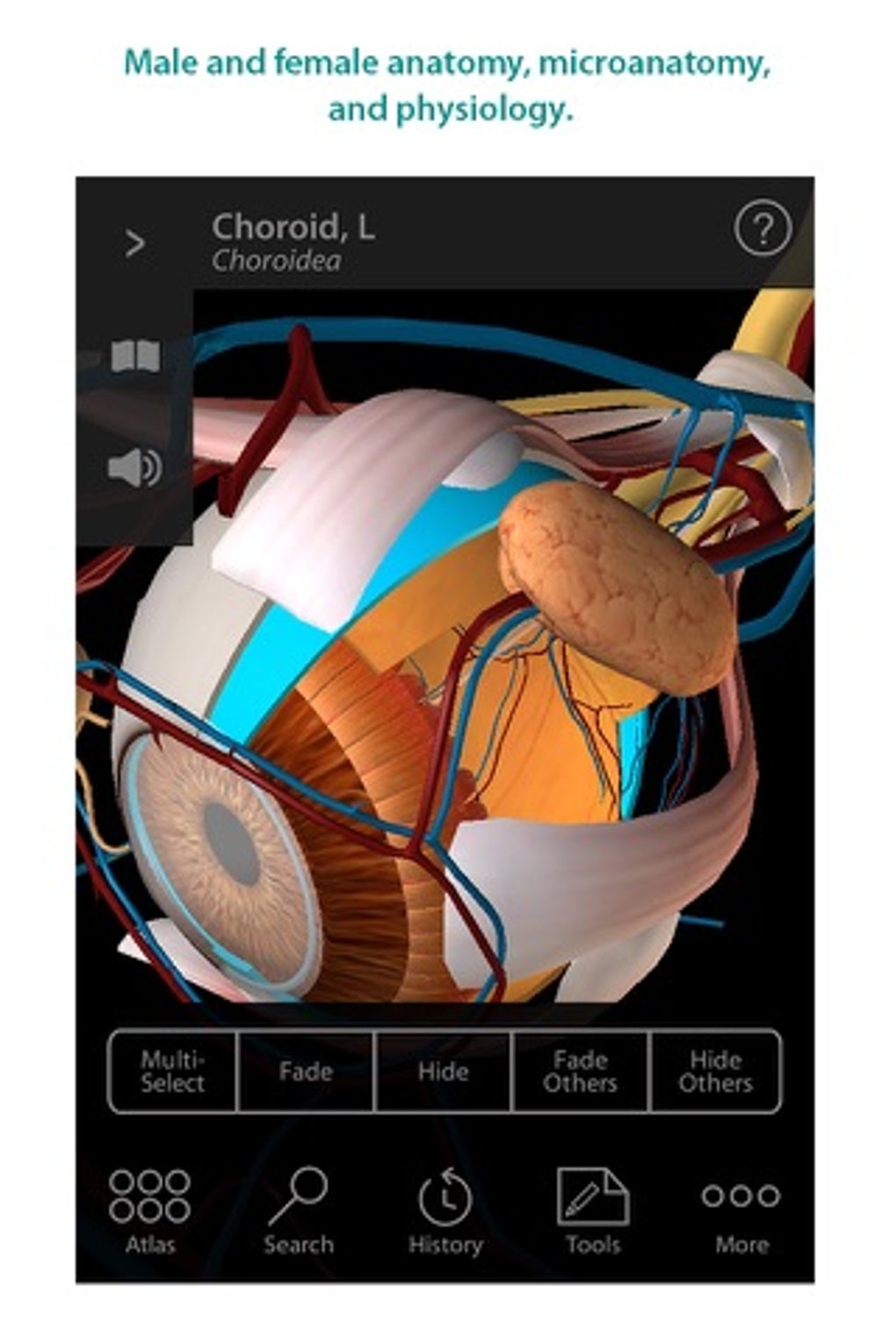 Human Anatomy Atlas 3D Anatomical Model of the Human Body für iPhone ...