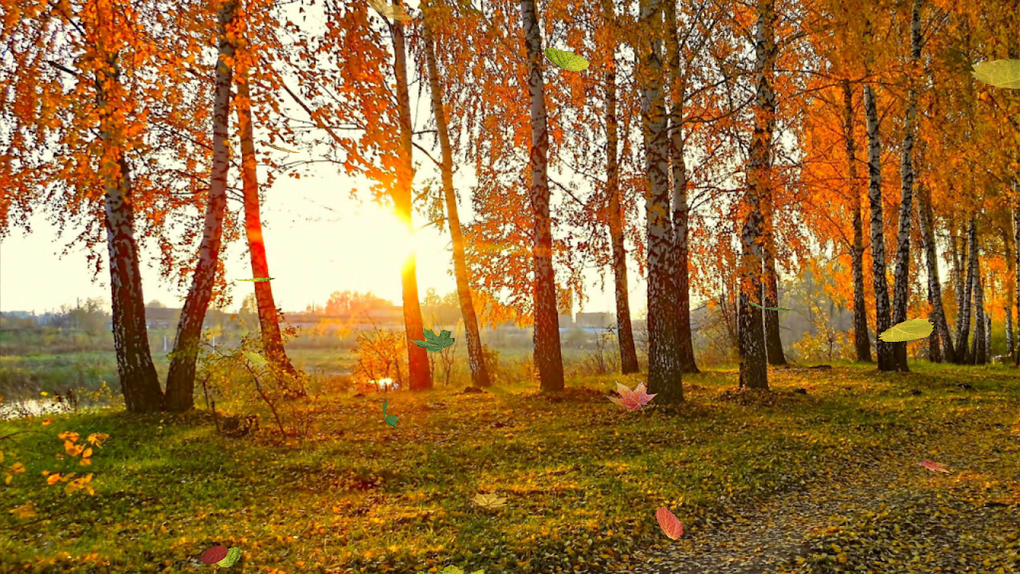 Falling Leaves 3D Live Wallpaper APK for Android - Download