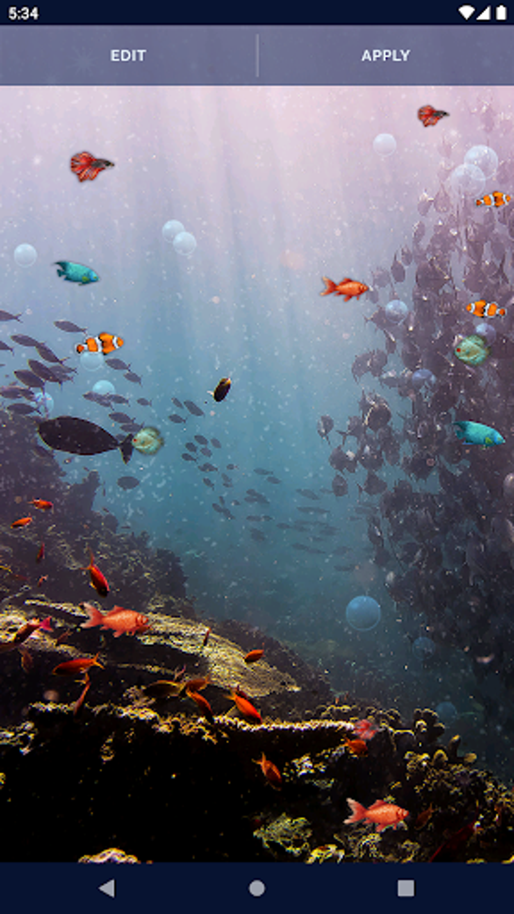 Ocean Fish Live Wallpaper 4K APK for Android - Download