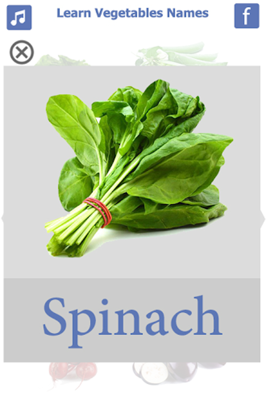 Learn Vegetables Name APK For Android Download