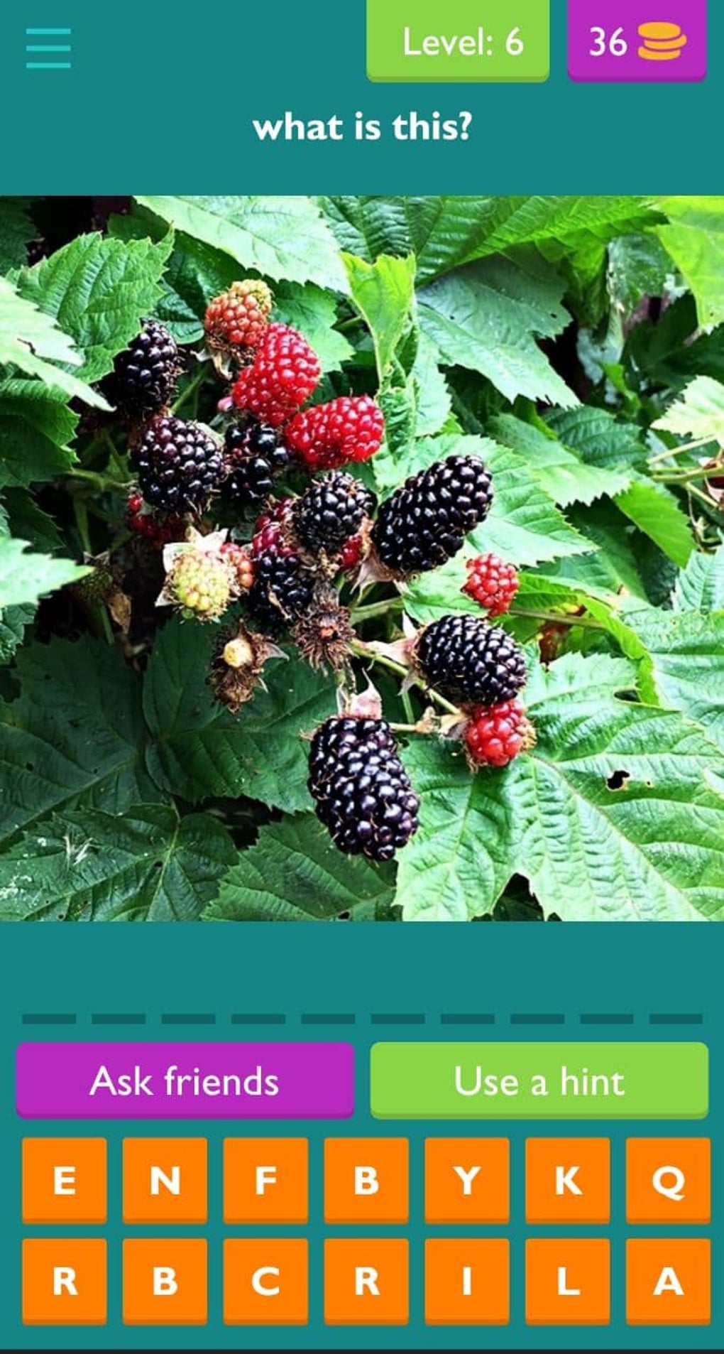 1 Pics 1 word Guess Top Fruits For Health for Android - Download