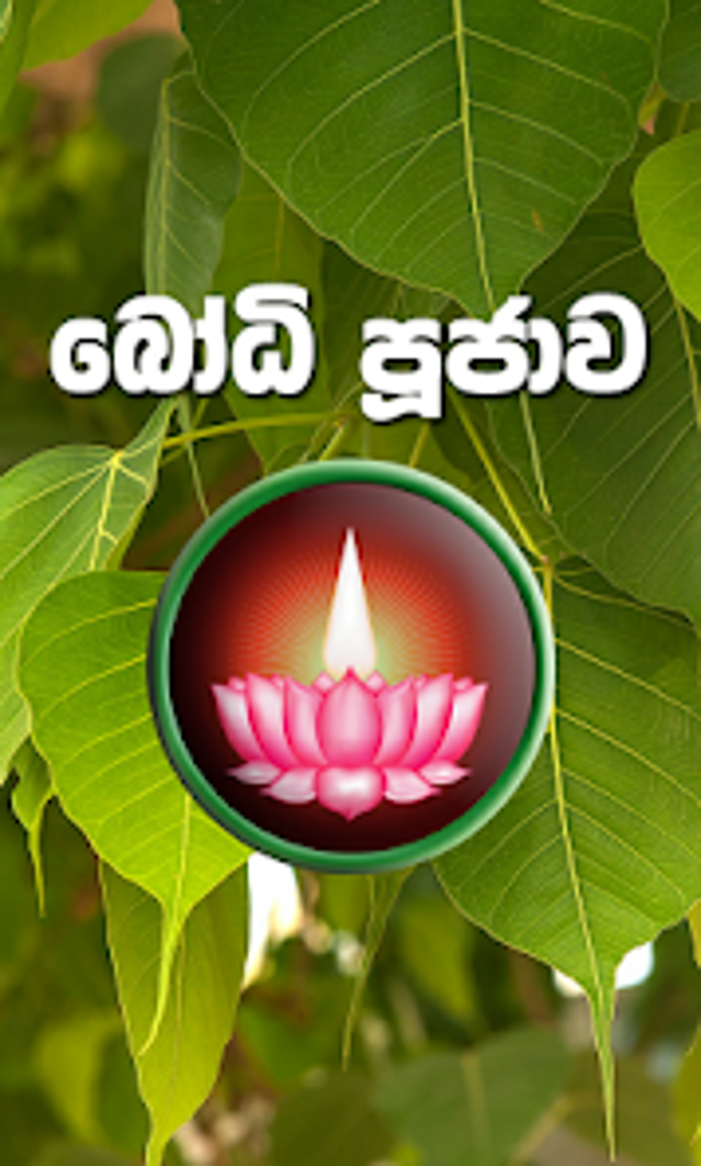 Bodhi Poojawa for Android - Download