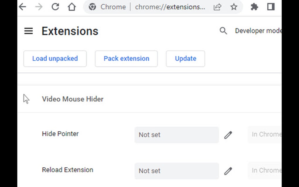 Video Mouse Hider for Google Chrome - Extension Download