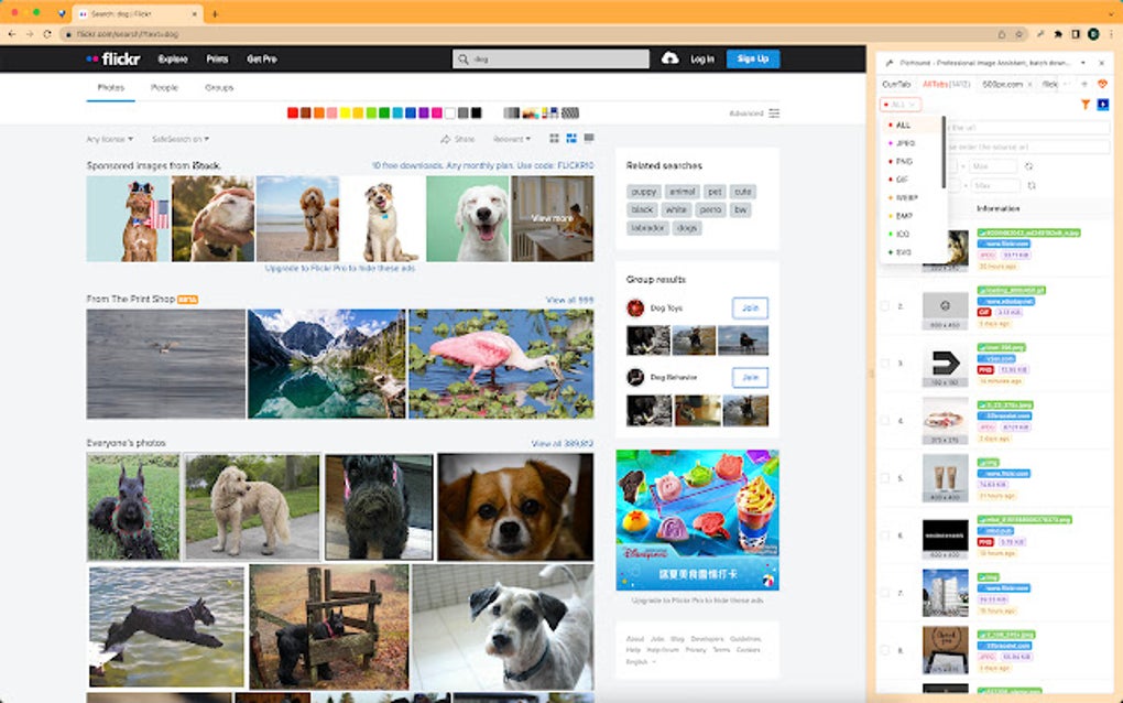 PicHound - Professional Image Assistant for Google Chrome - Extension ...