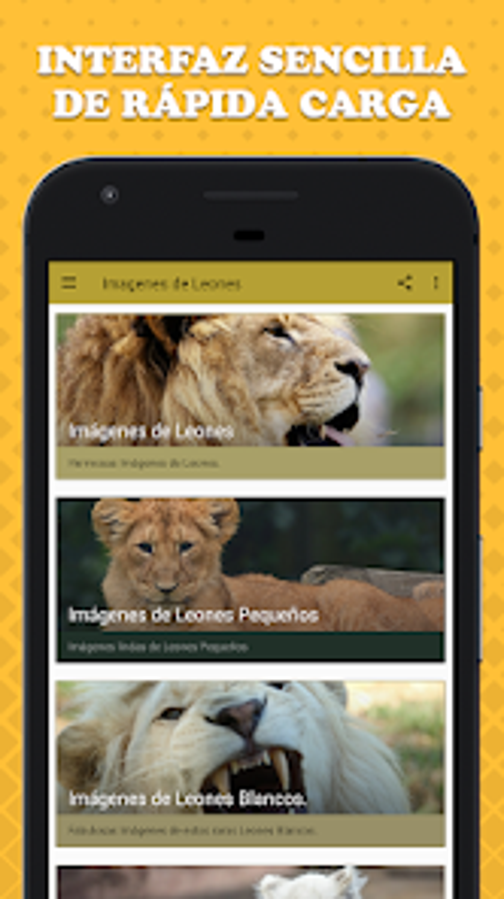 Imagenes de Leones para Android - Descargar