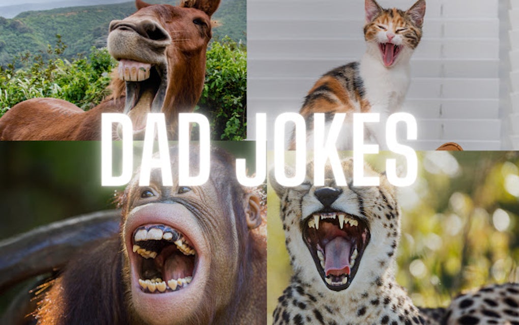 Dad Jokes for Google Chrome - Extension Download