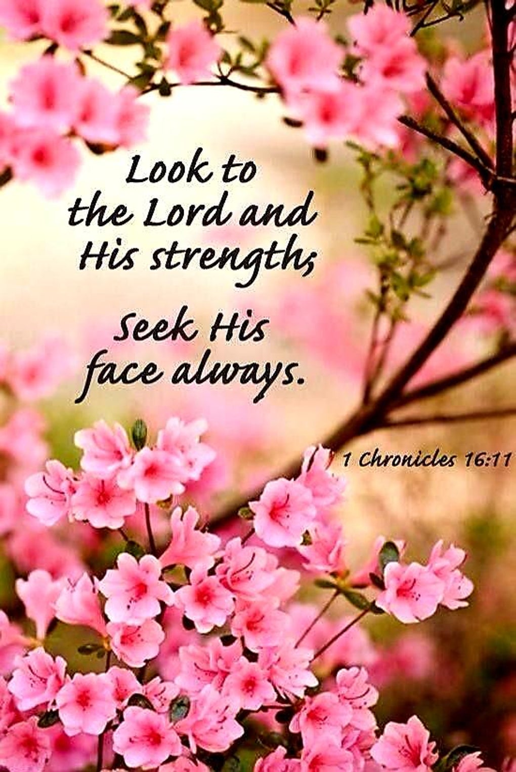 Inspirational Bible Quotes For Android 