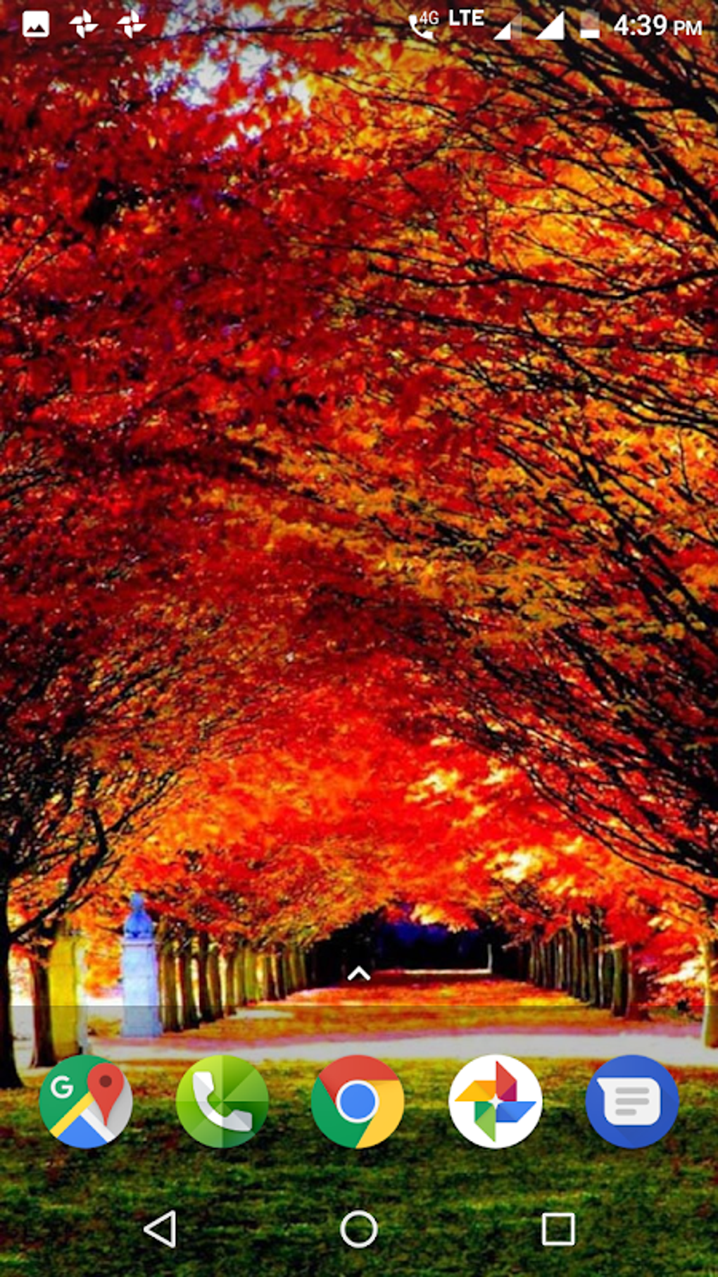Autumn Wallpaper HD APK para Android - Descargar