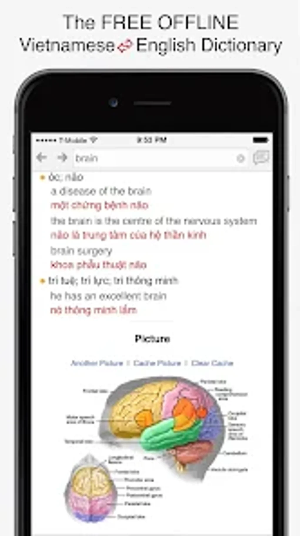 English Vietnamese Dictionary per Android - Download