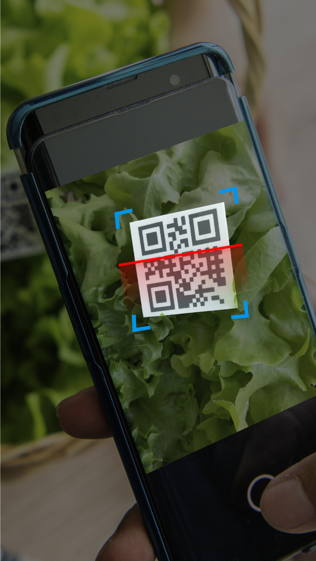 Free QR Scanner - Barcode Scanner QR Code Reader APK for Android - Download