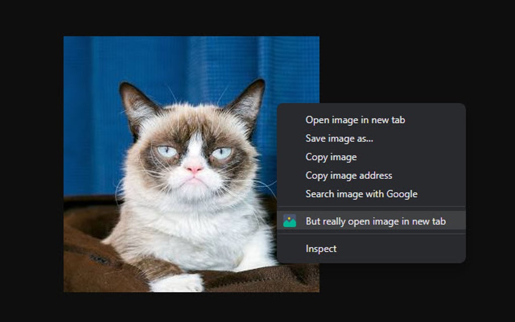 But really open image in new tab Google Chrome için - Eklenti İndir
