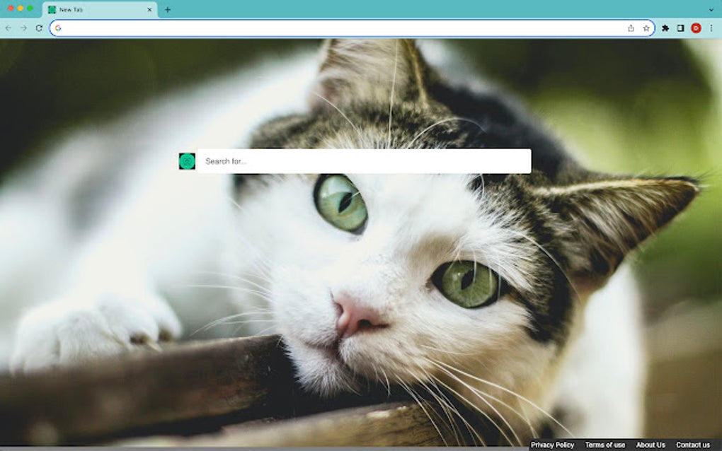 Best Pics Tab Google Chrome 용 - 확장 프로그램 다운로드
