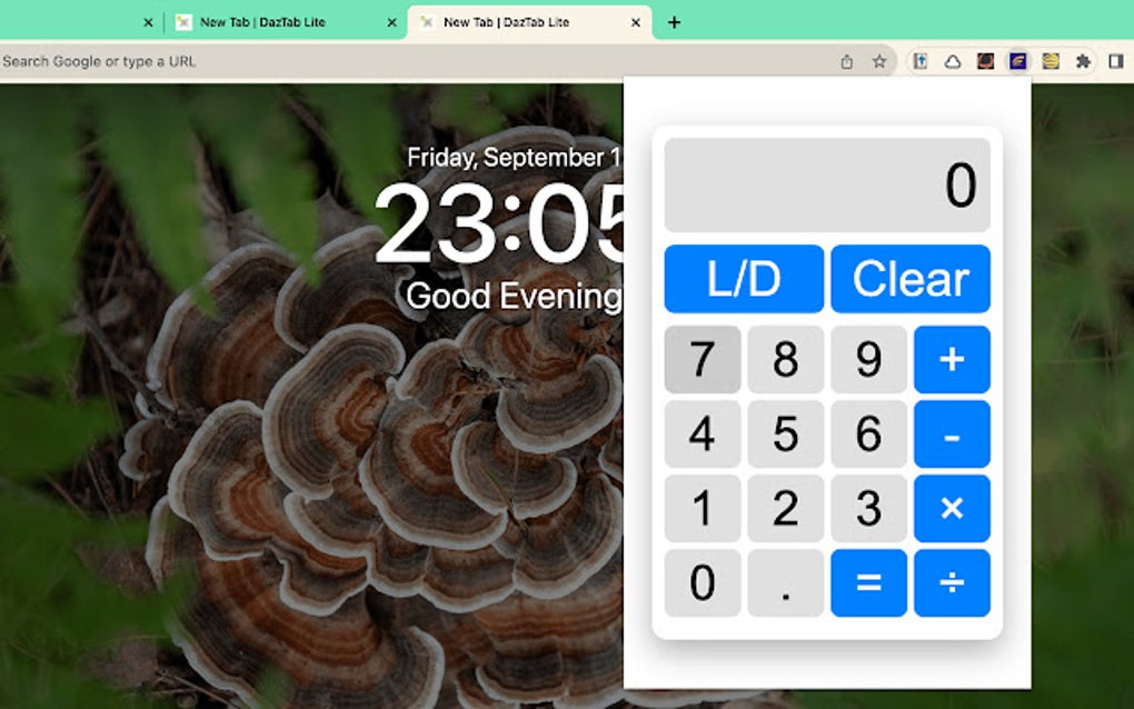 DazCalc for Google Chrome - Extension Download