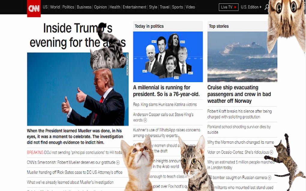 Cats App! for Google Chrome - Extension Download