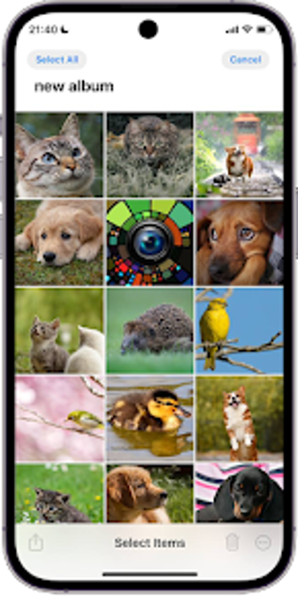 True Gallery - Photo Album for Android - Download