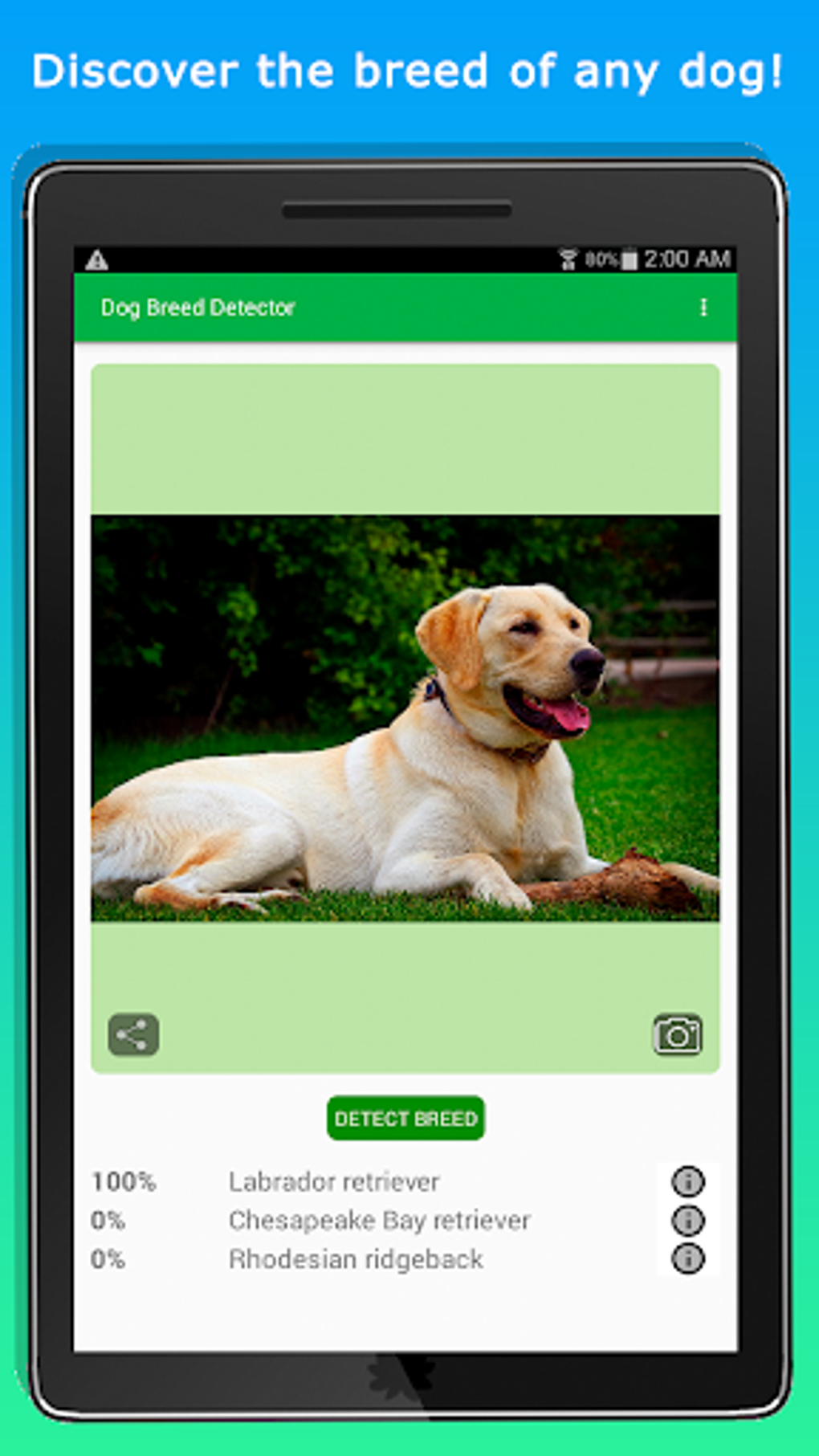 DoggyApp Identify Dog Breeds Para Android Download DoggyApp Identify Dog Breeds Para Android Download