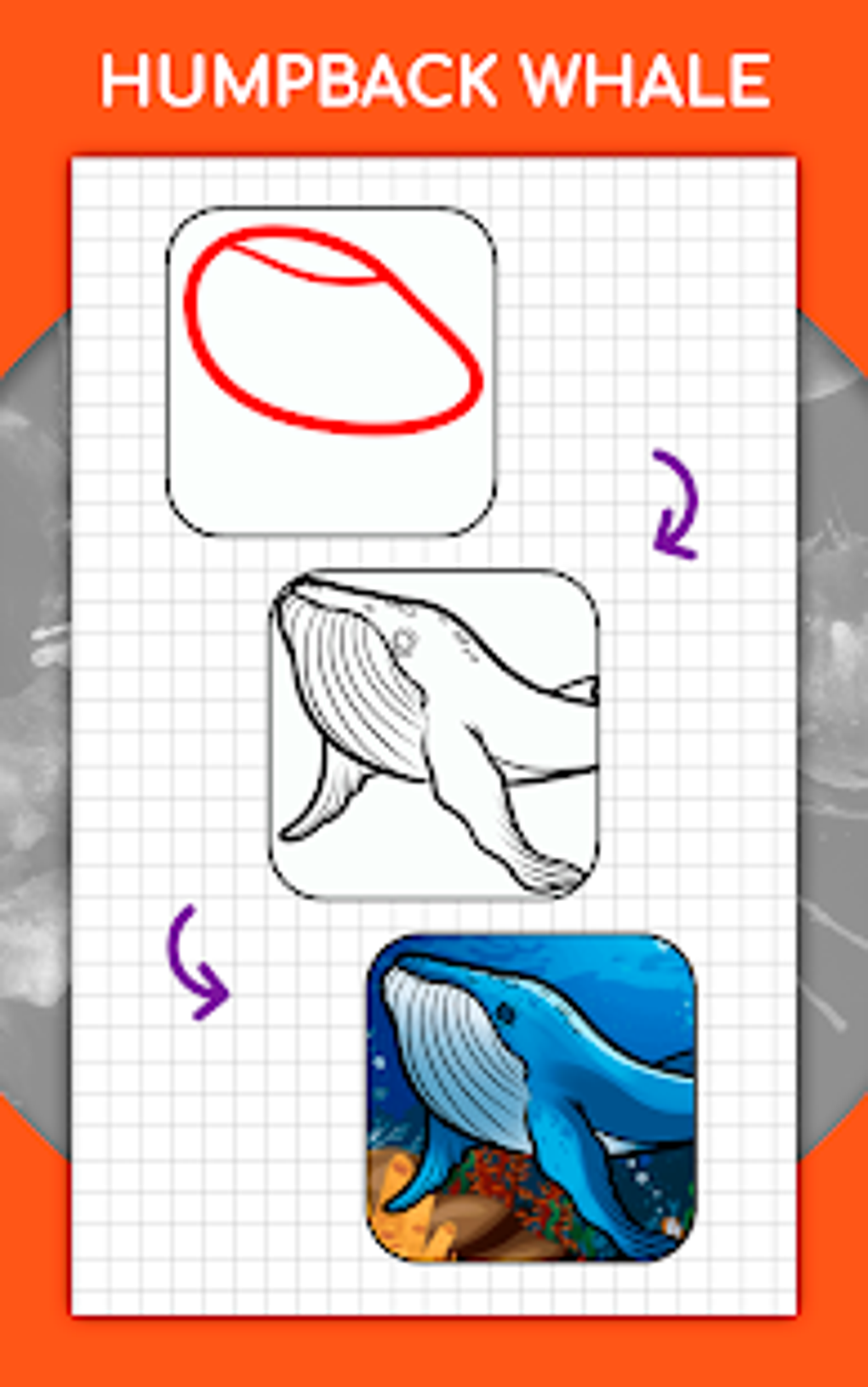 How to draw animals. Step by step drawing lessons APK per Android ...