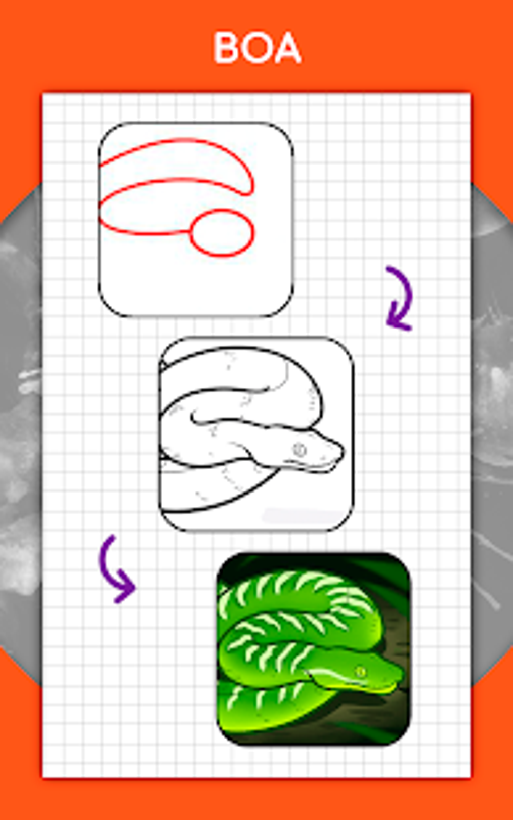 How to draw animals. Step by step drawing lessons APK per Android ...