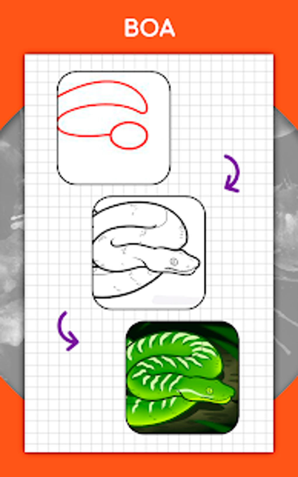 how-to-draw-animals-step-by-step-drawing-lessons-apk-voor-android